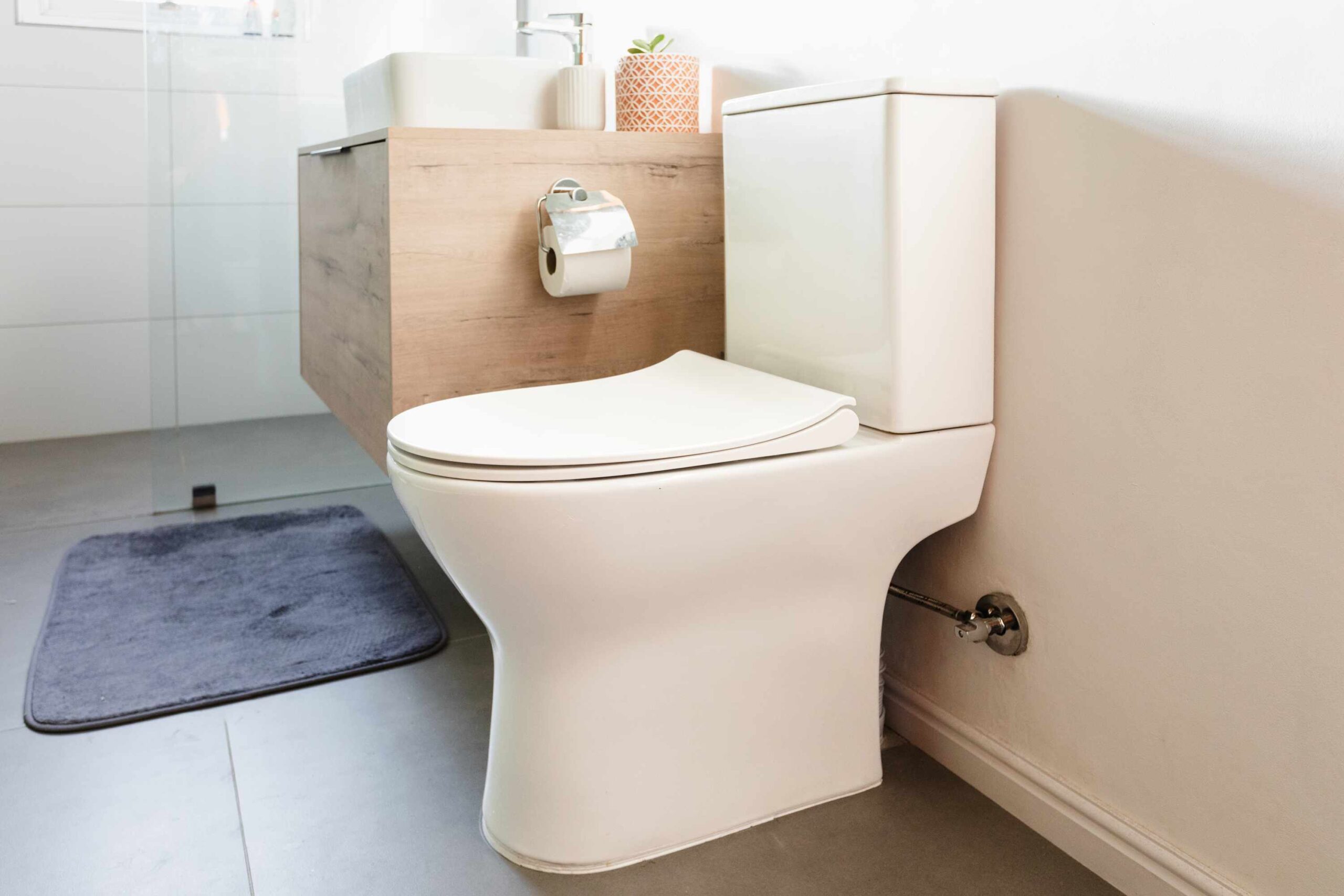 Choosing the Perfect Toilet for Your Home with Lifetime Plumbing